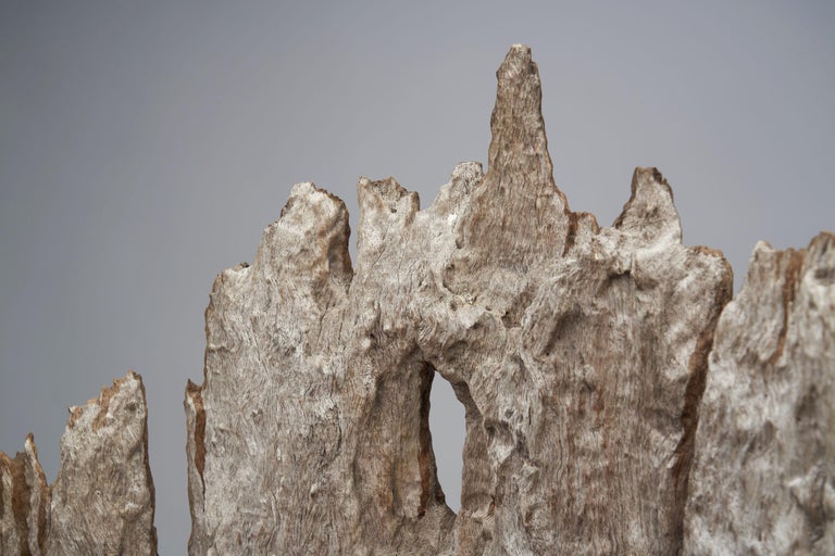 Tibetan Tree Bark Room Divider, Tibet ca 19th Century For Sale at 1stDibs