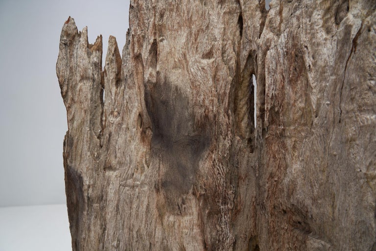Tibetan Tree Bark Room Divider, Tibet ca 19th Century For Sale at 1stDibs