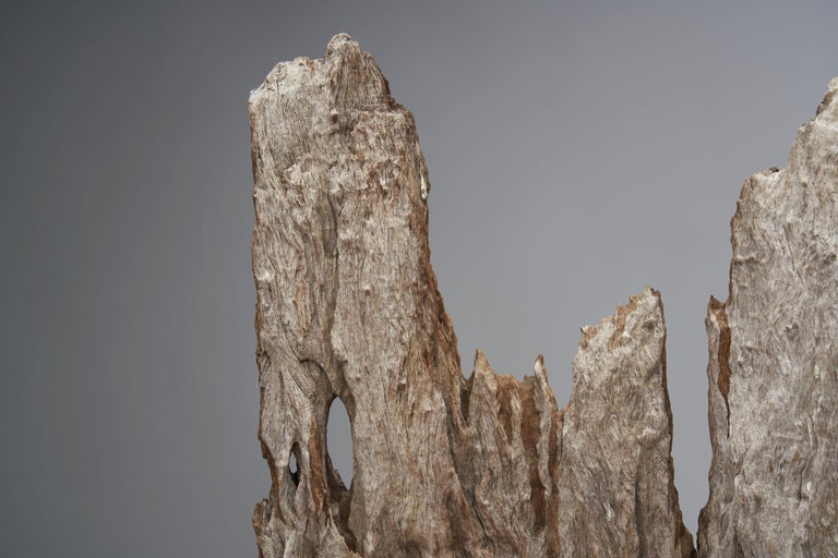 Tibetan Tree Bark Room Divider, Tibet ca 19th Century For Sale at 1stDibs
