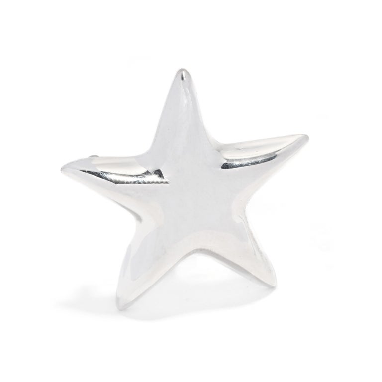 Tiffany and Company Mexican Star Brooch, Sterling Silver For Sale at ...