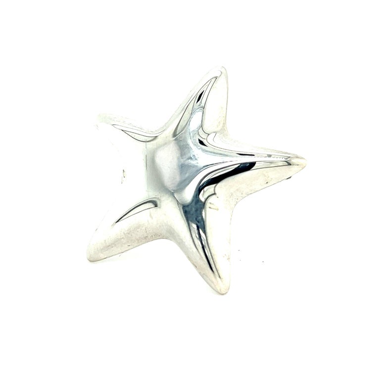 Tiffany and Co Estate Puffed Star Brooch Silver For Sale at 1stDibs