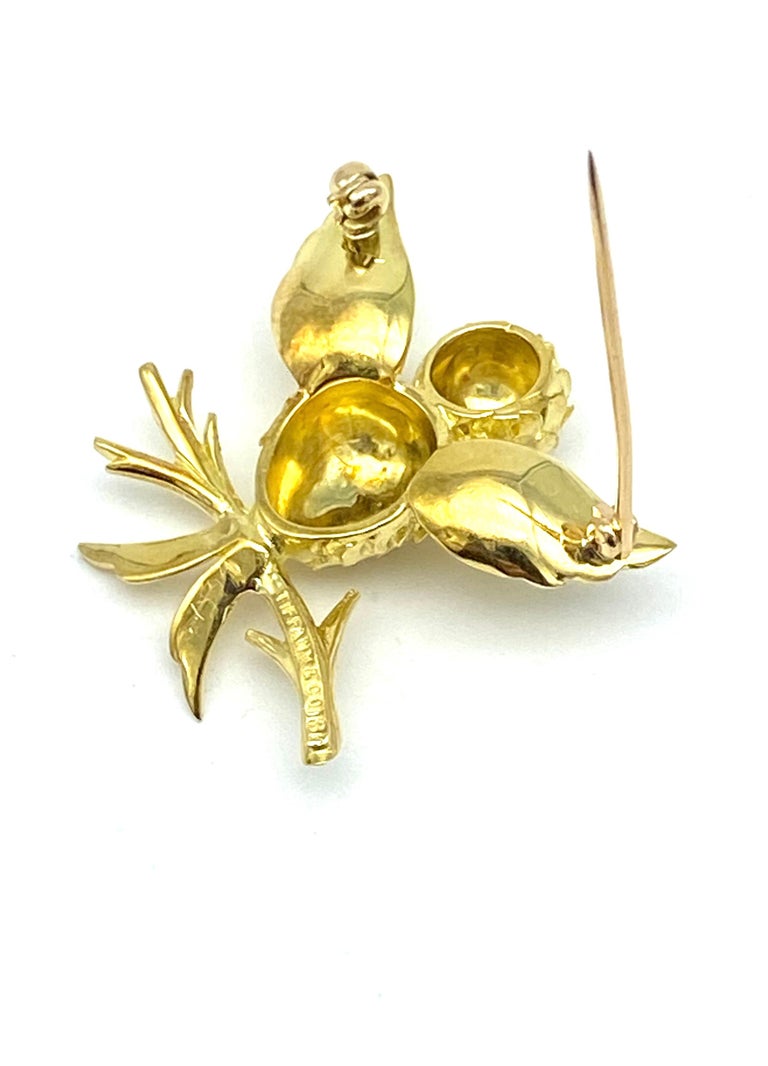 Tiffany and Co. Hummingbird 18 Karat Yellow Gold and Ruby Pin For Sale ...