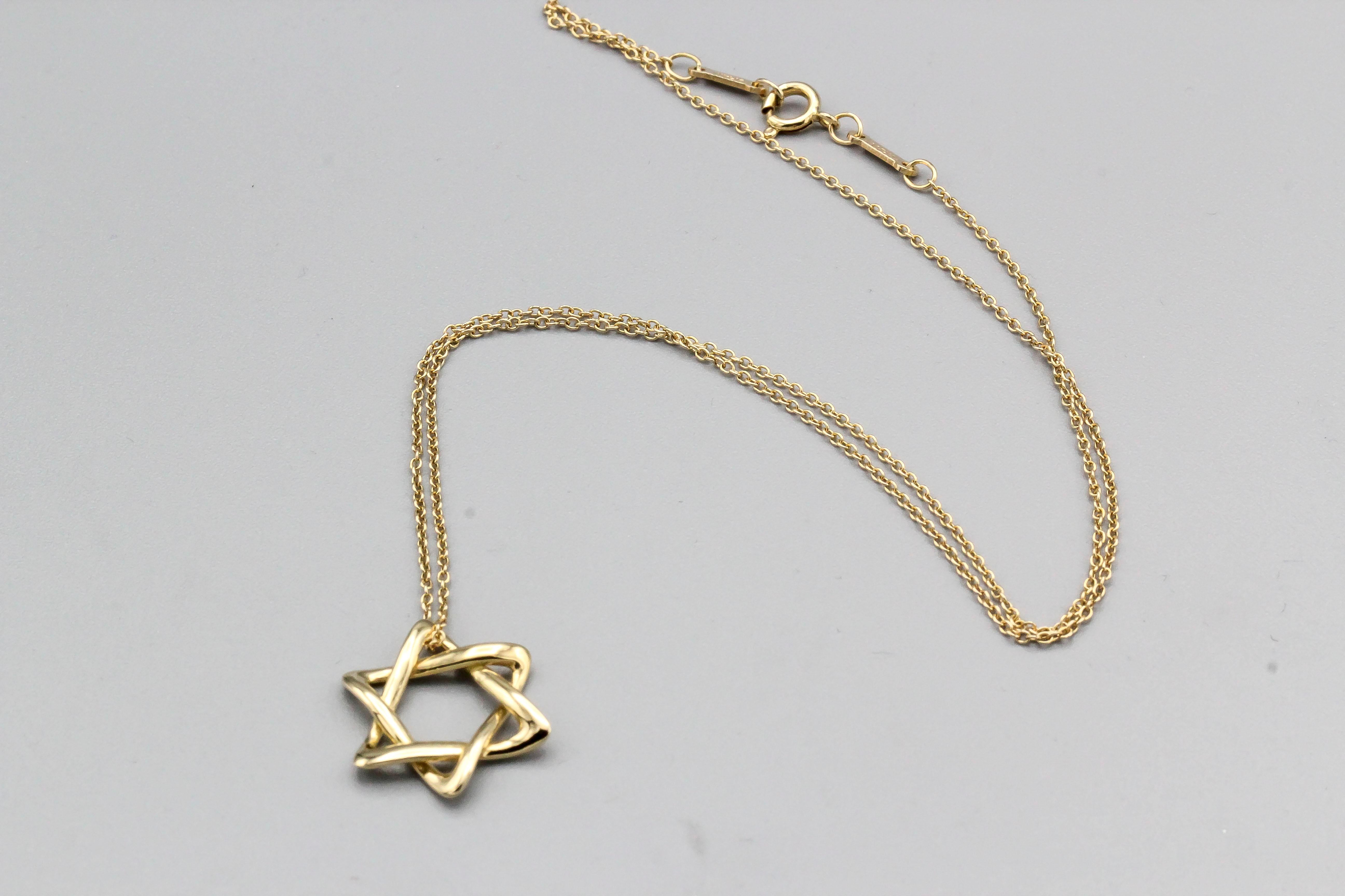 Tiffany and Co. Peretti Large 18 Karat Gold David Star Chain Necklace ...
