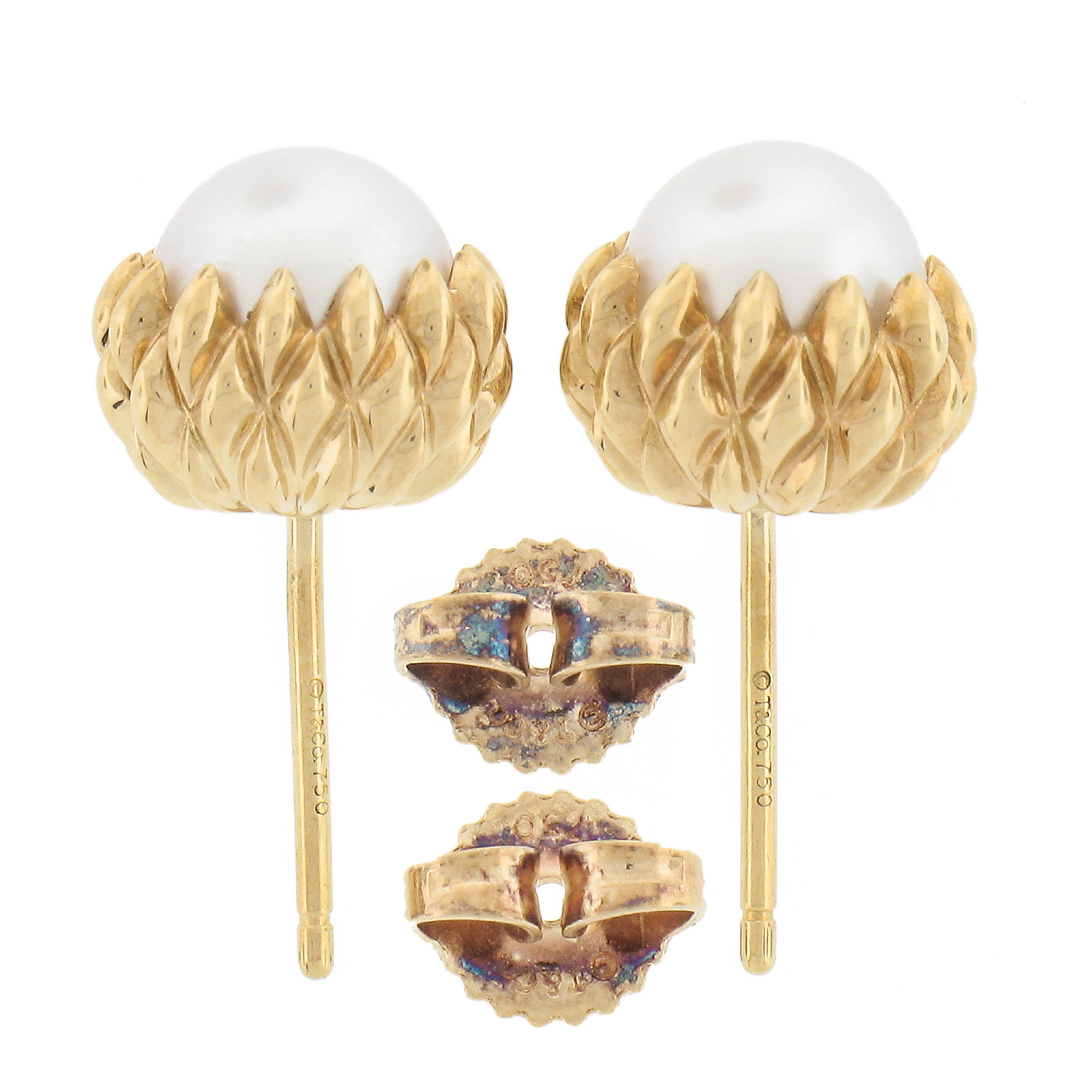 Tiffany and Co. Schlumberger 18k Yellow Gold Aaa Pearl Acorn Stud ...