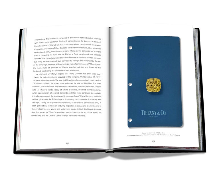Tiffany and Co. Vision and Virtuosity, 'Icon Edition' For Sale at 1stDibs