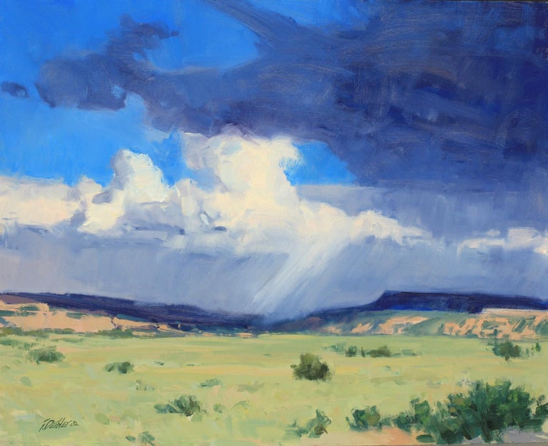 Tim Deibler - Cloud Patterns For Sale at 1stDibs