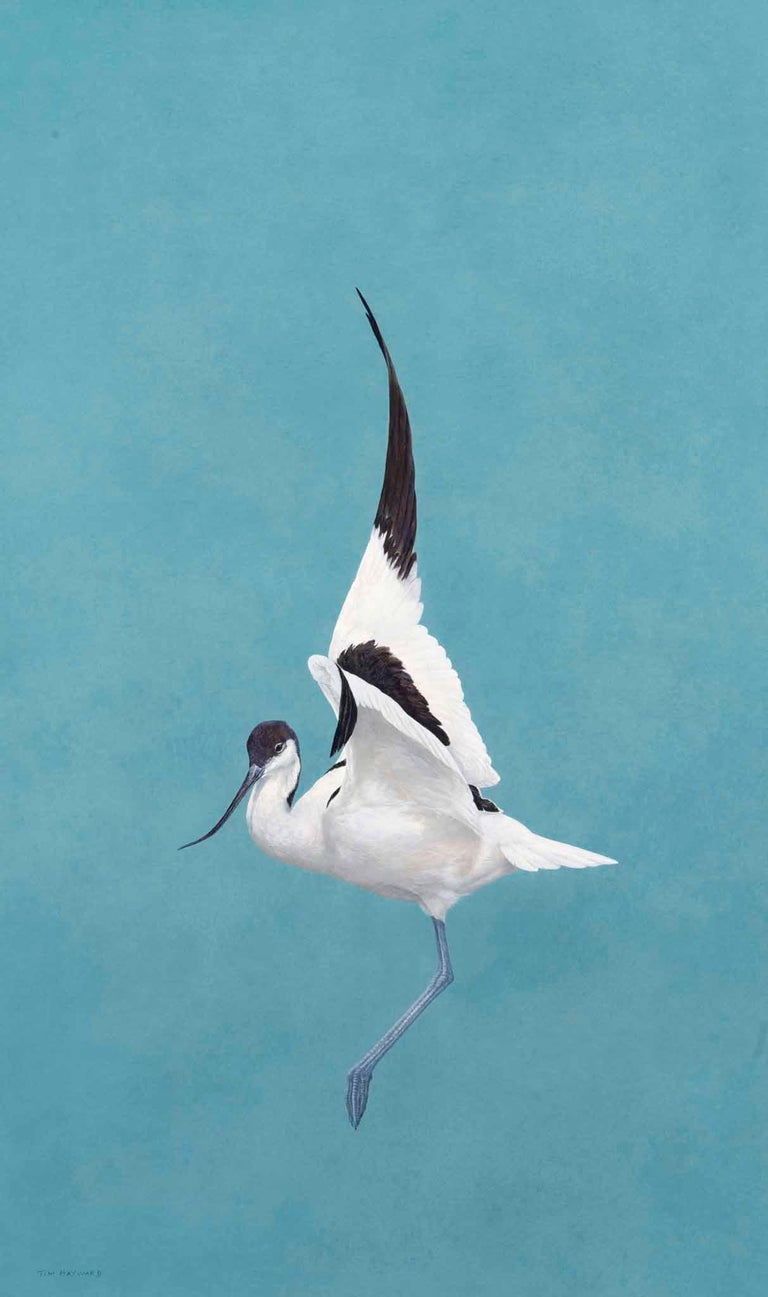 Tim Hayward - Alight For Sale at 1stDibs