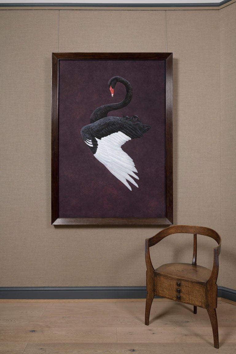 Tim Hayward - Black Swan - Aubergine at 1stDibs