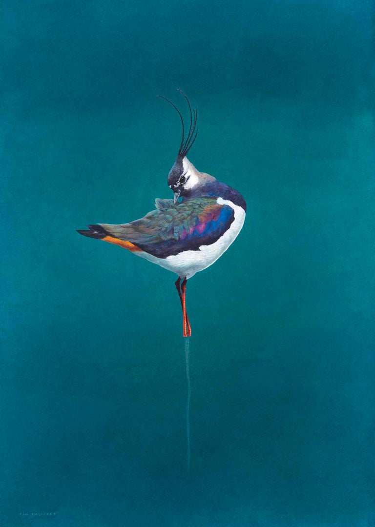 Tim Hayward - Preen For Sale at 1stDibs