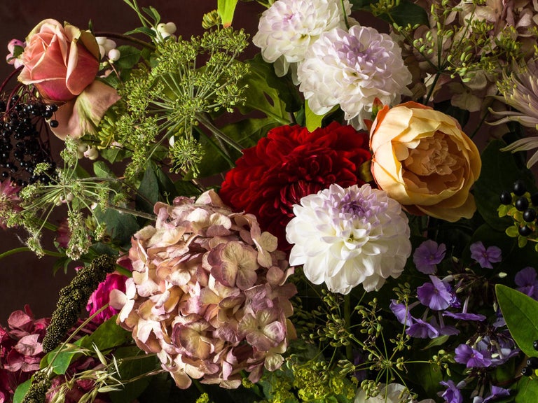 Tim Platt - Dutch dog #1 White Chihuahua, Signed limited edition fine ...