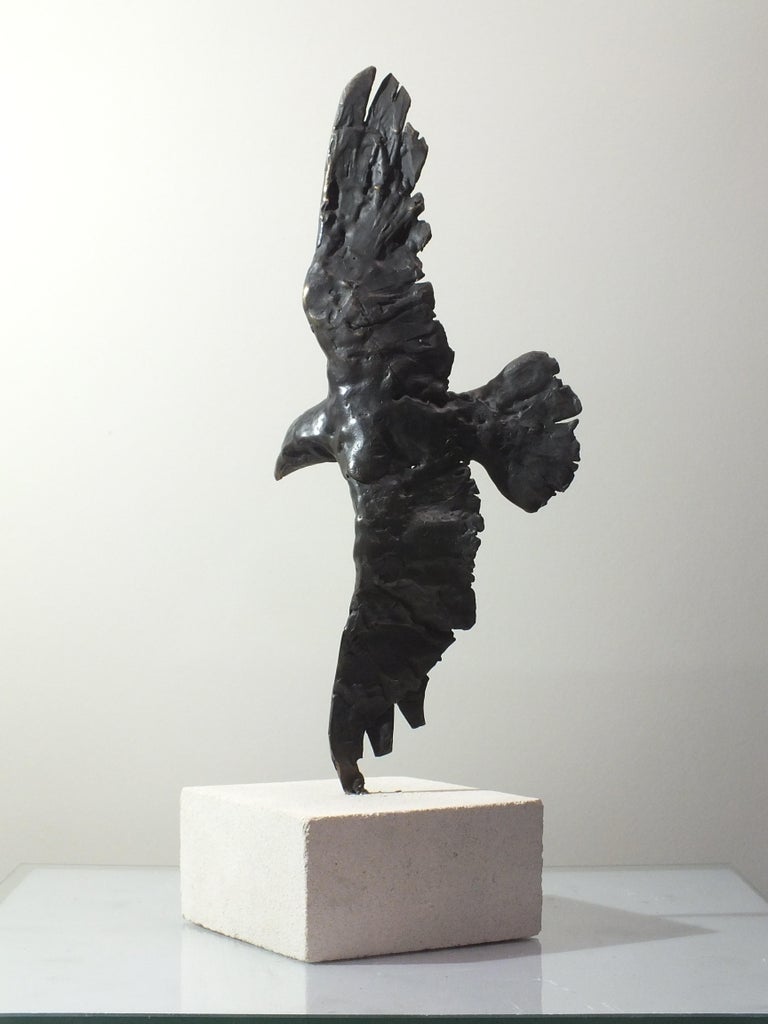 Tim Rawlins - Raven, Dominion Series: Unique Contemporary Cast Bronze ...
