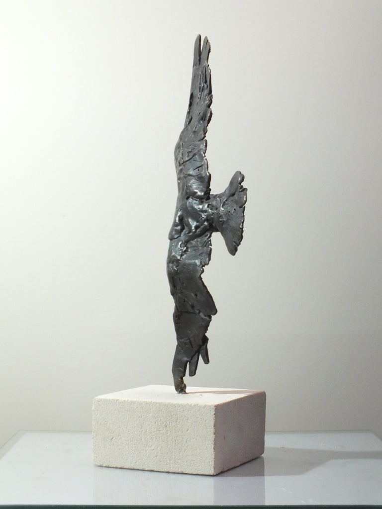 Tim Rawlins - Raven, Dominion Series: Unique Contemporary Cast Bronze ...