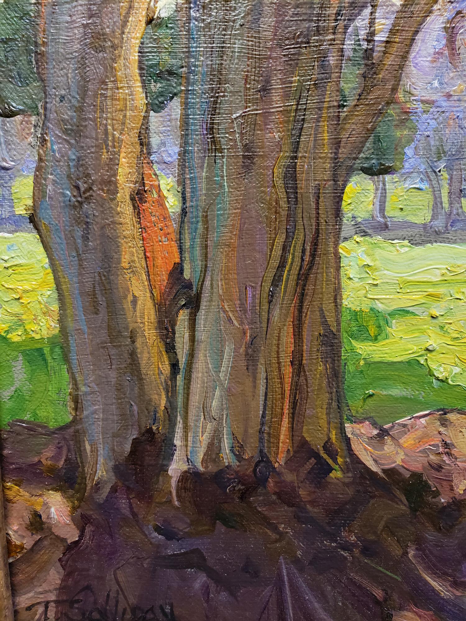 Tim Solliday - Eucalyptus Afternoon For Sale at 1stDibs