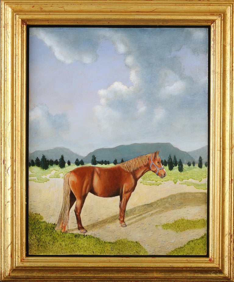 Tim Vermeulen - Horse For Sale at 1stDibs