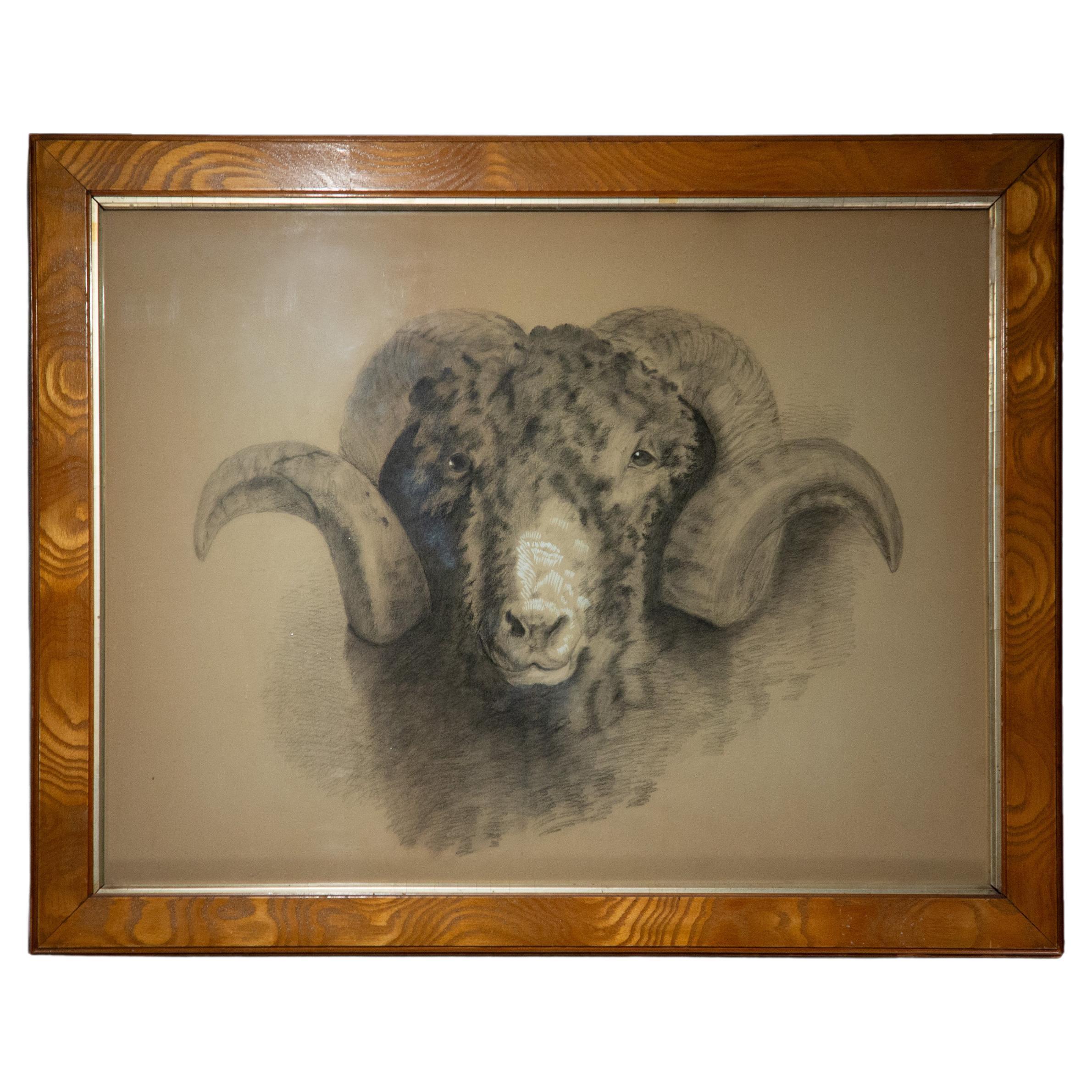 Timeless 19th Century Ram Drawing: Graphite and Chalk on Paper- Framed ...