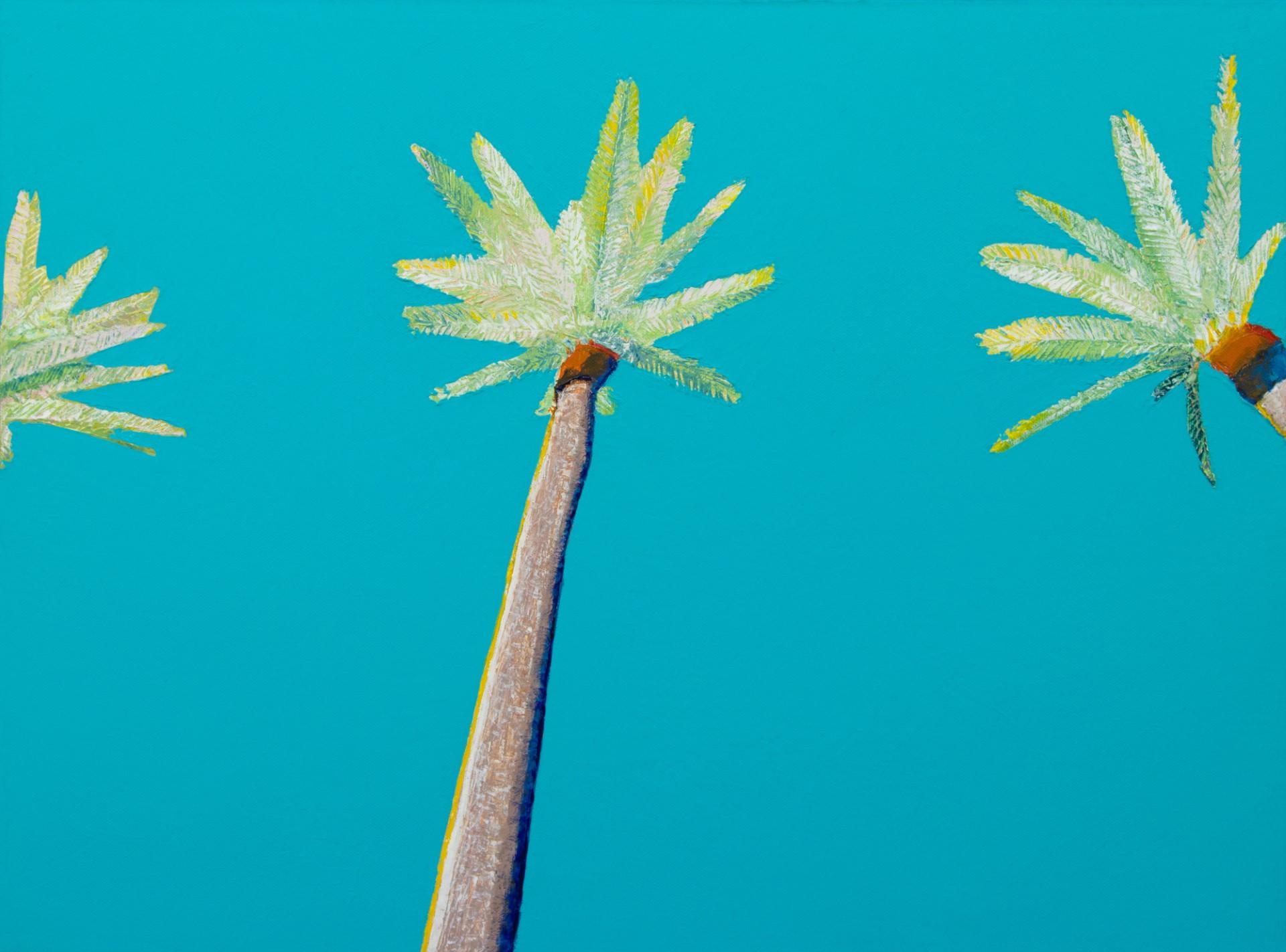 Timothy Mulligan - 3 Towering Palm Trees For Sale at 1stDibs