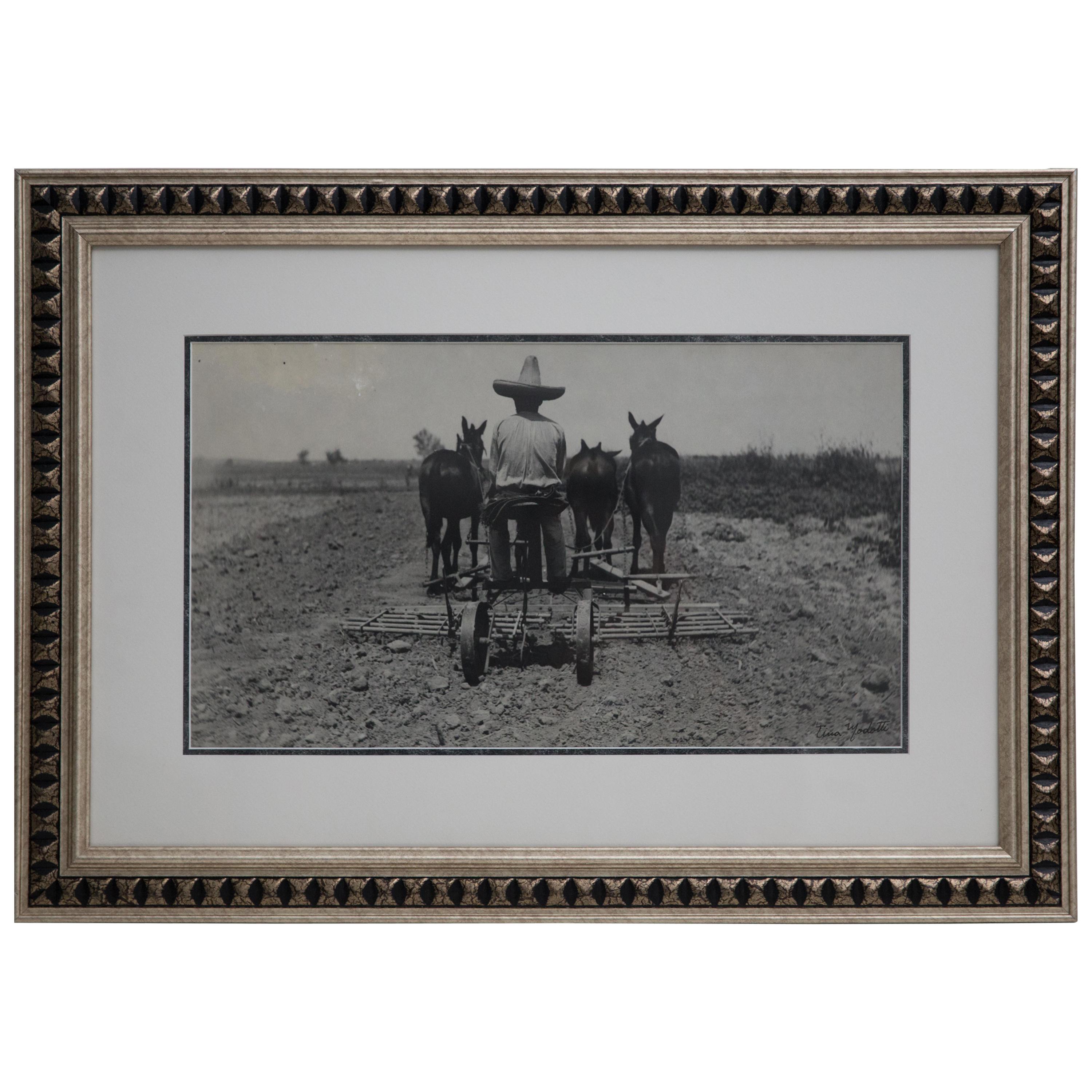 Tina Modotti Original Signature Photograph of Field Worker, circa 1920s ...