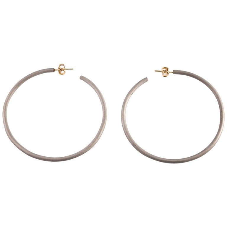 Titanium Diamond Hoop Earrings For Sale at 1stDibs | titanium hoop earrings