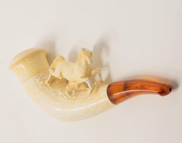 Tobacco Pipe with Horse Carving and Case For Sale at 1stDibs ...