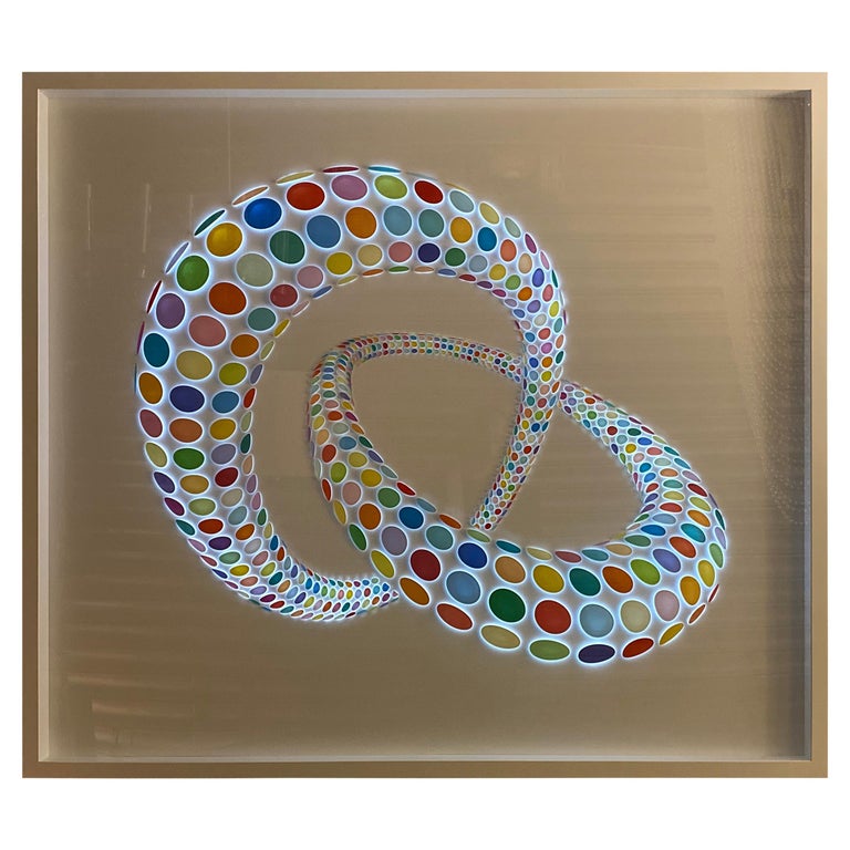 Todd and Fitch Enlightened Picture “Intertwined C4” at 1stDibs