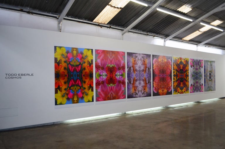Todd Eberle - Untitled (Cosmos: Earth) For Sale at 1stDibs