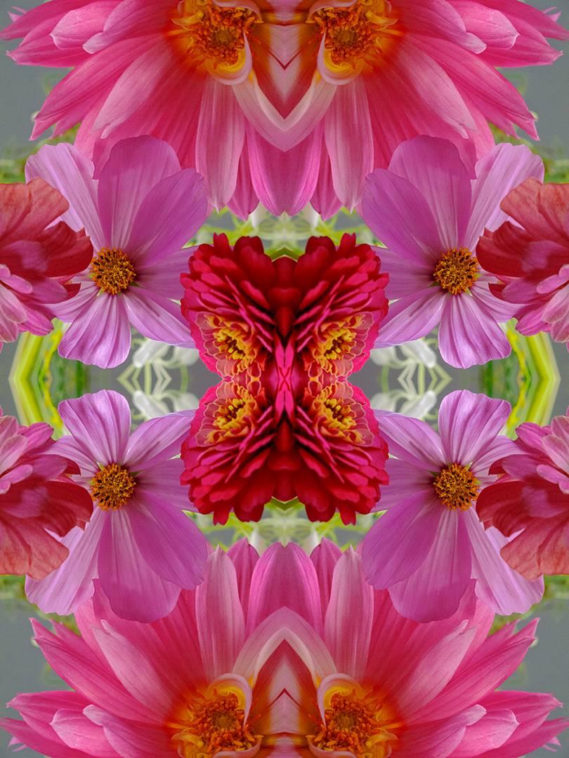 Todd Eberle - Untitled (Cosmos: Earth) For Sale at 1stDibs