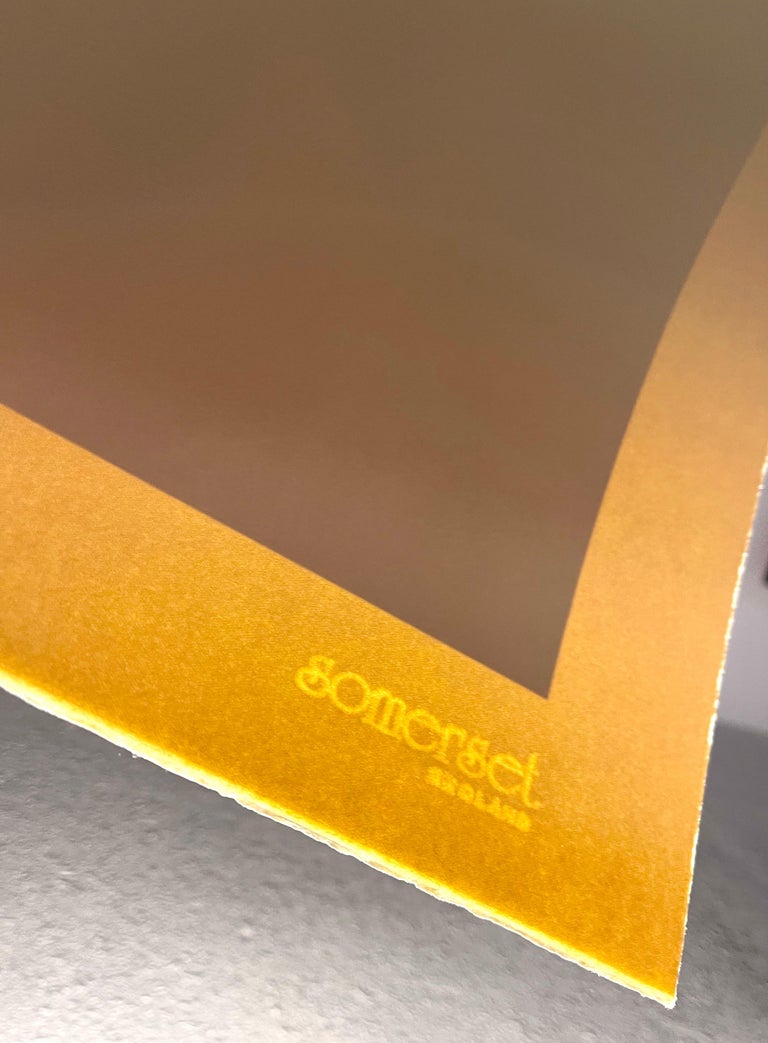 Todd Gray - Color Iris Photo Print Conceptual Shadow Cartoons Polyptych ...