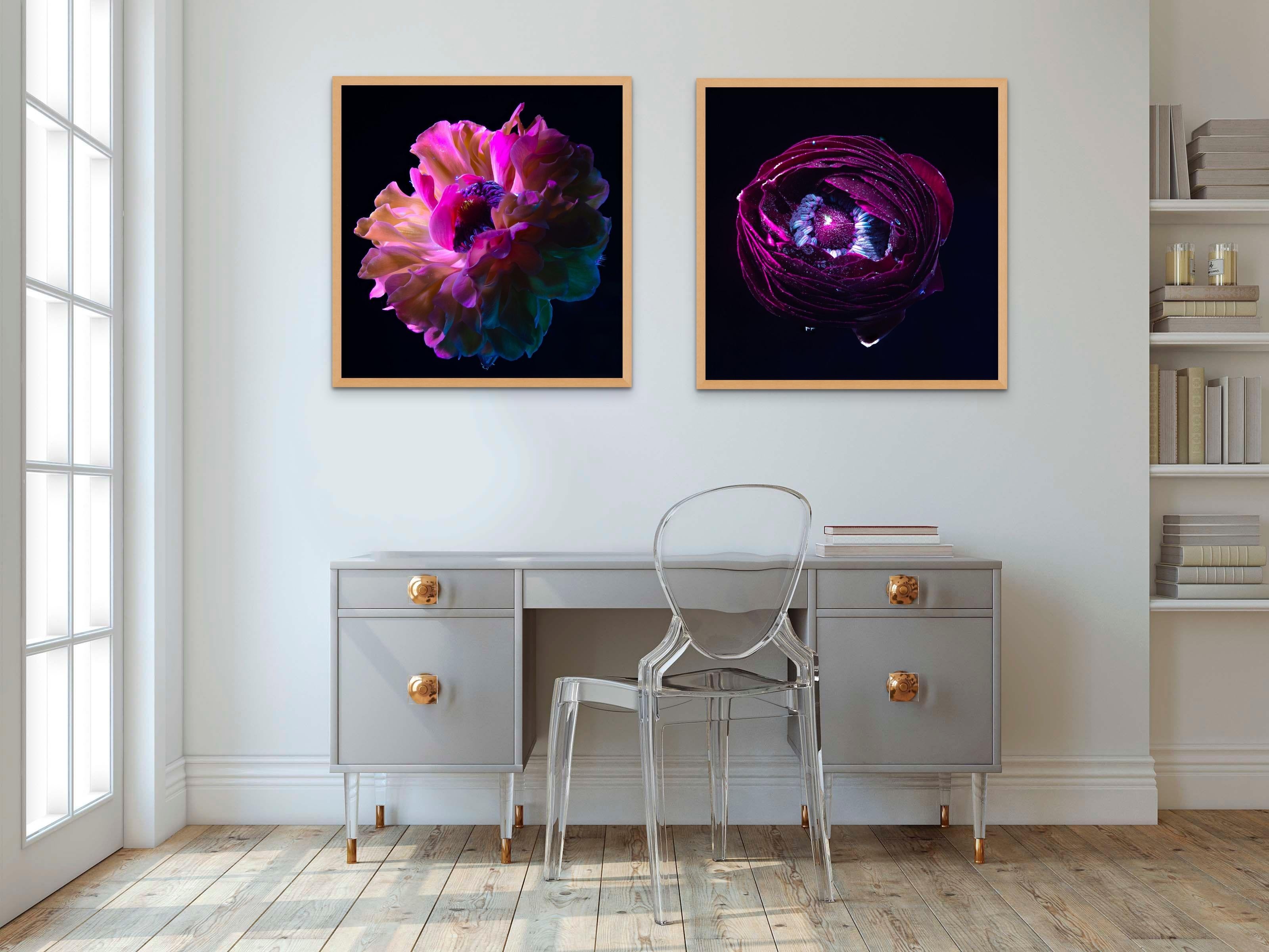 Tom Blachford - Fluorescent Bright UV Wild Flower Limited Edition Print ...