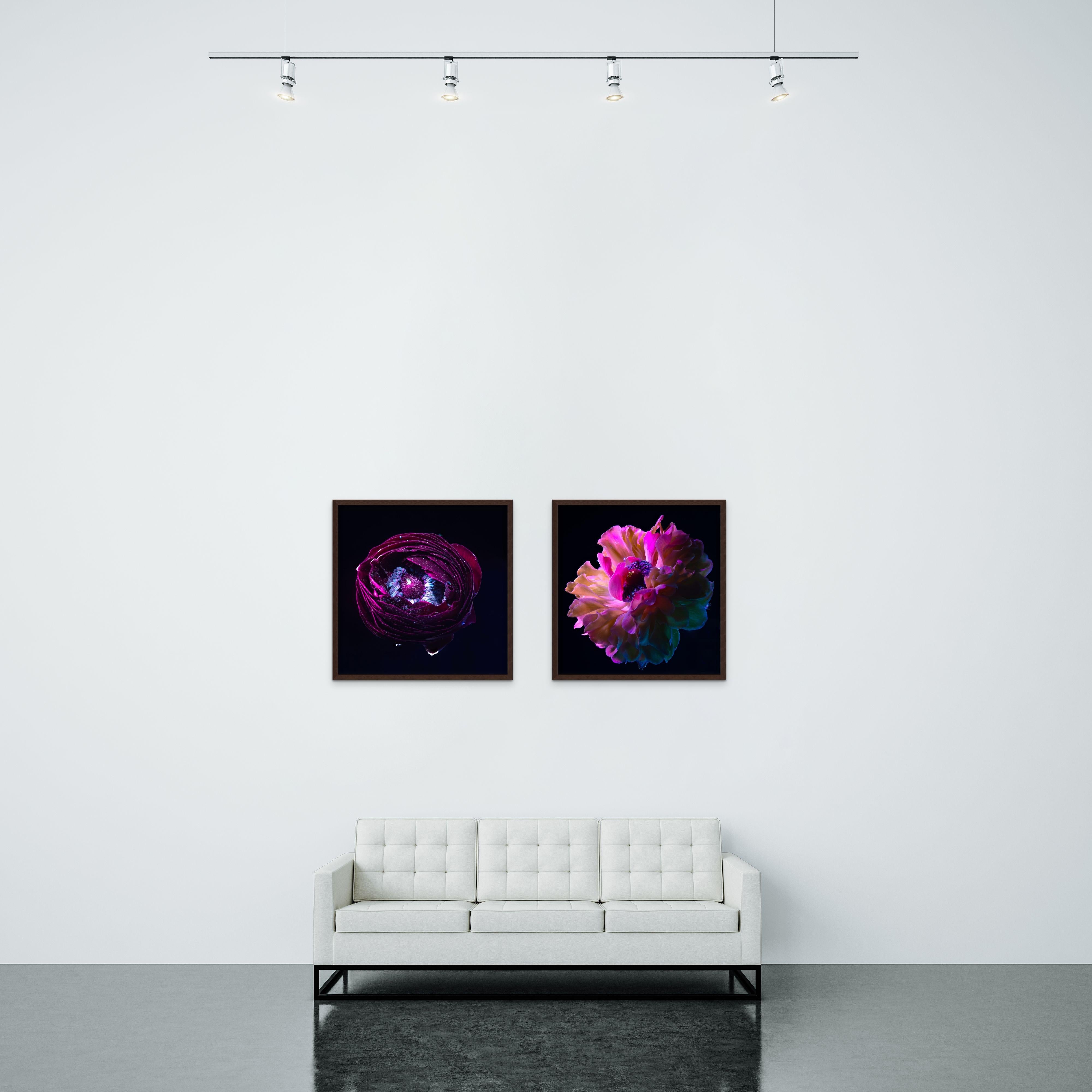 Tom Blachford - Fluorescent Bright UV Wild Flower Limited Edition Print ...