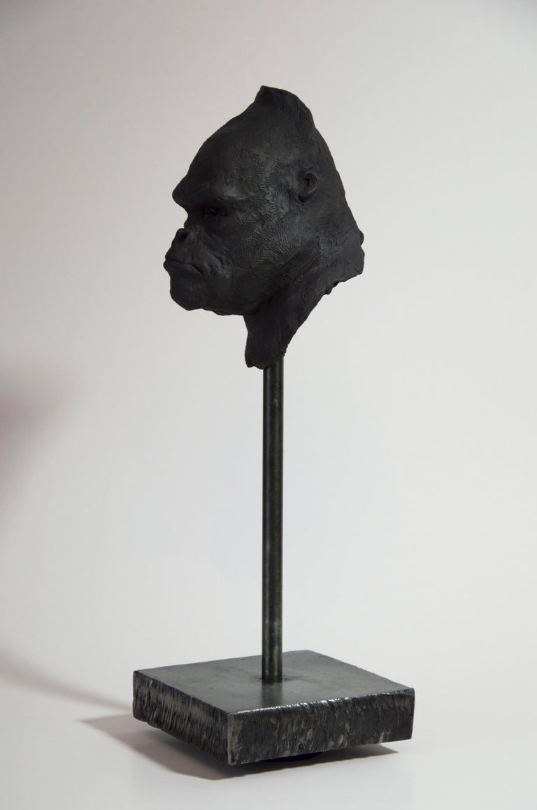 Tomasz Bielak - Gorilla's Head - Contemporary Handmade Bronze Sculpture ...