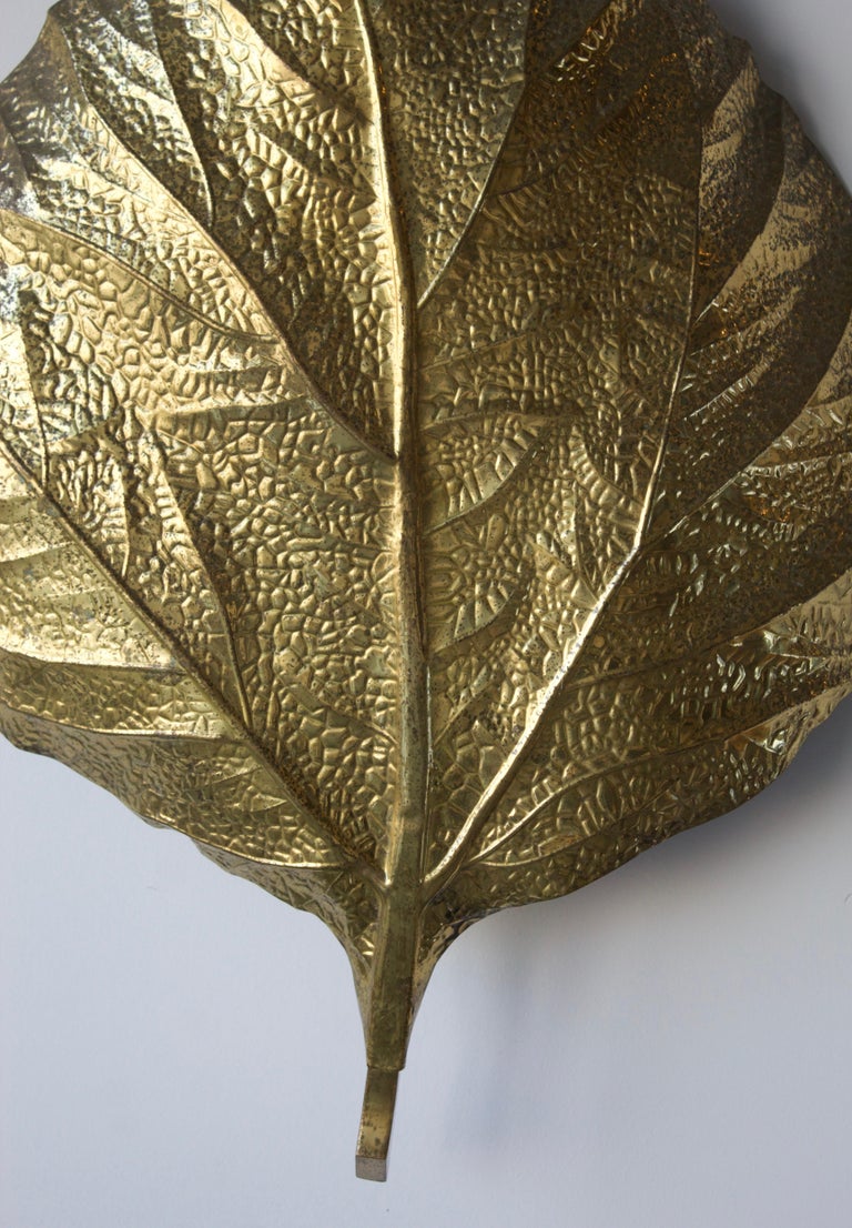 Tommaso Barbi and Carlo Giorgi, Sizable Wall Light, Brass, G&G, Italy ...