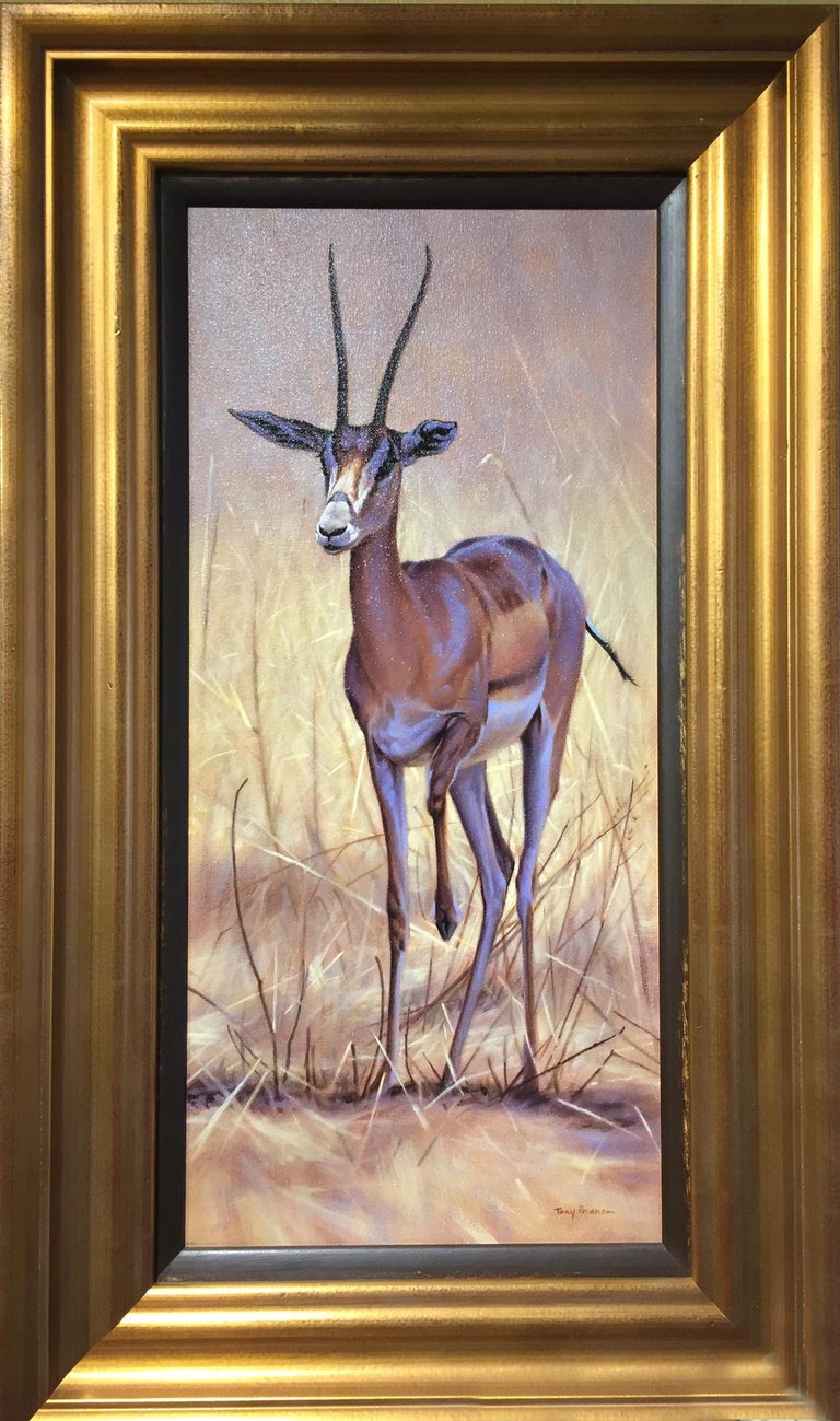 Tony Pridham - Grant's Gazelle For Sale at 1stDibs