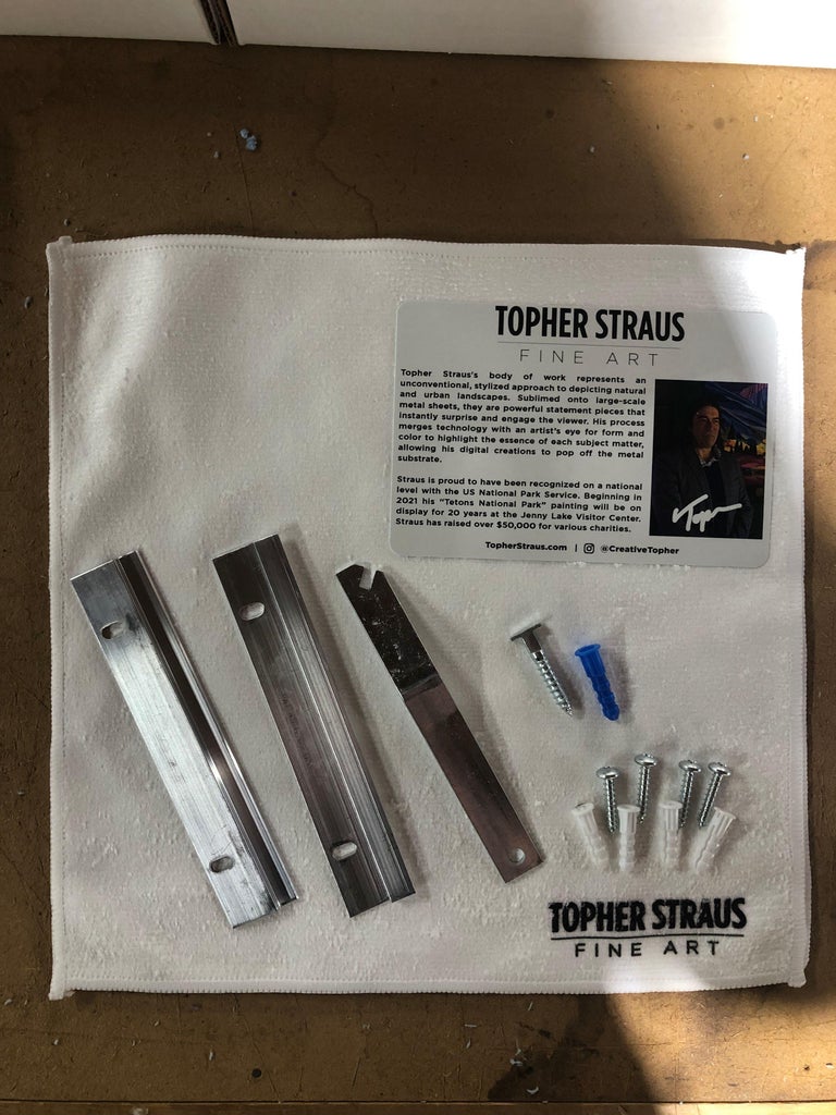 Topher Straus - Elephant on Earth, Original Large Modern Abstract ...