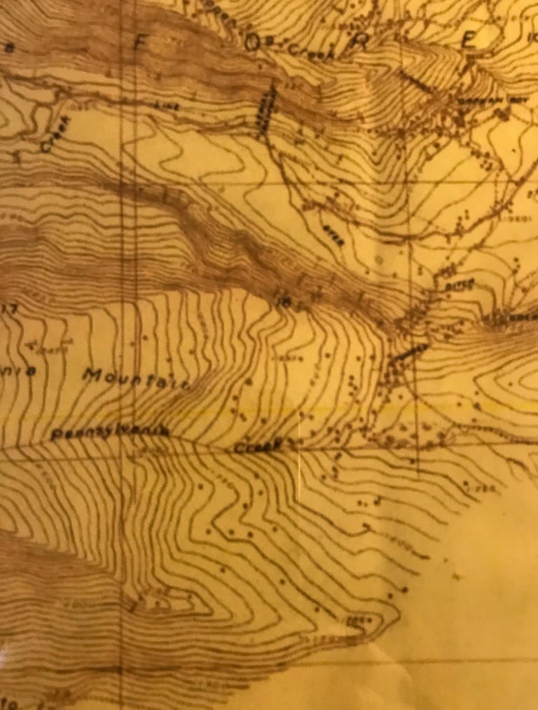 Topographical Map of the Pennsylvania Mountains in a Quarter Sawn Oak ...
