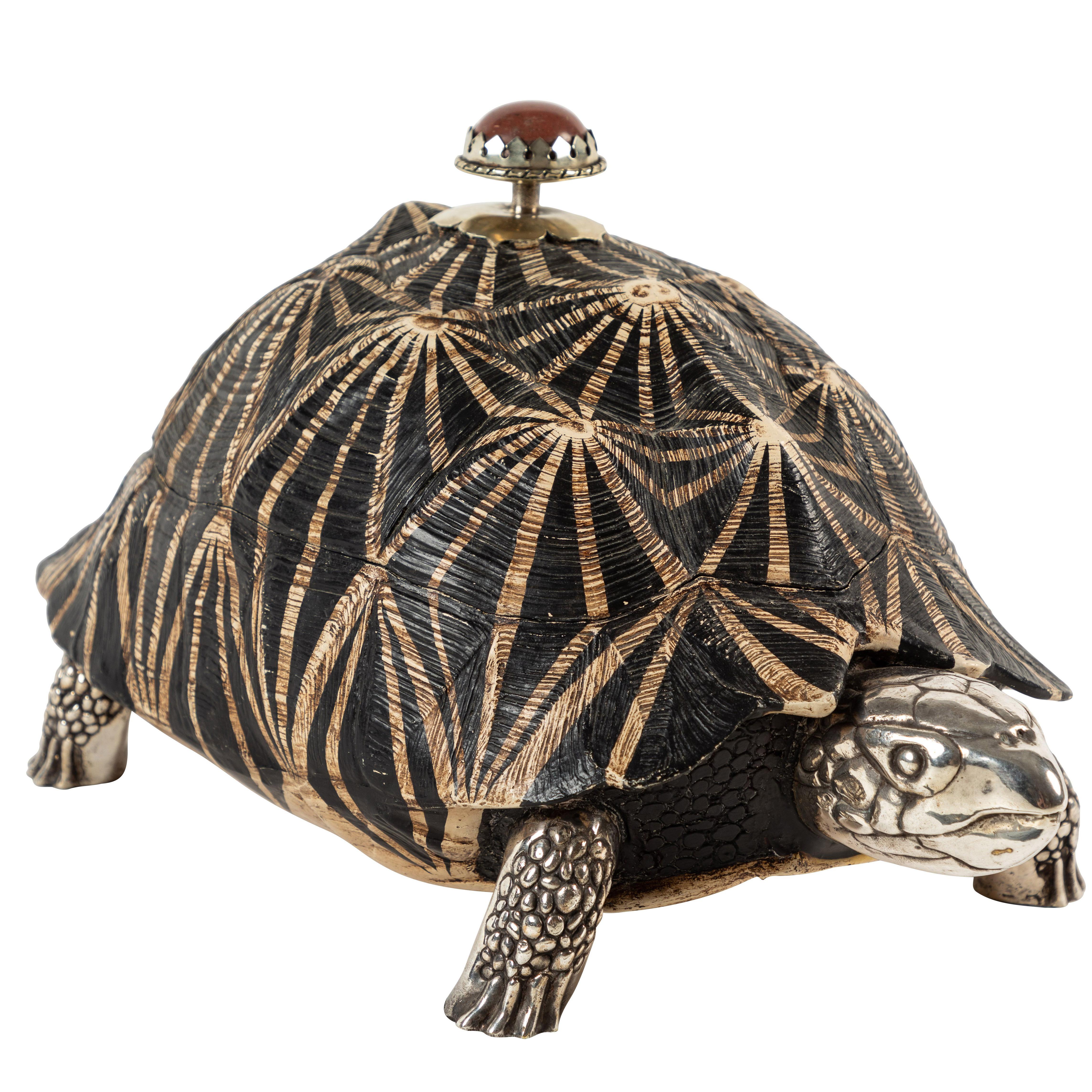 Tortoise Box by Anthony Redmile at 1stDibs