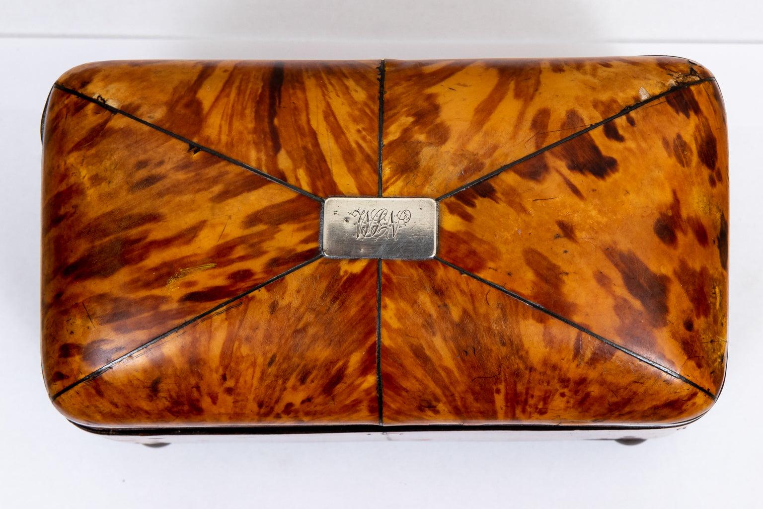 Tortoise Shell 19th Century English Tea Caddy with Brass Feet For Sale ...