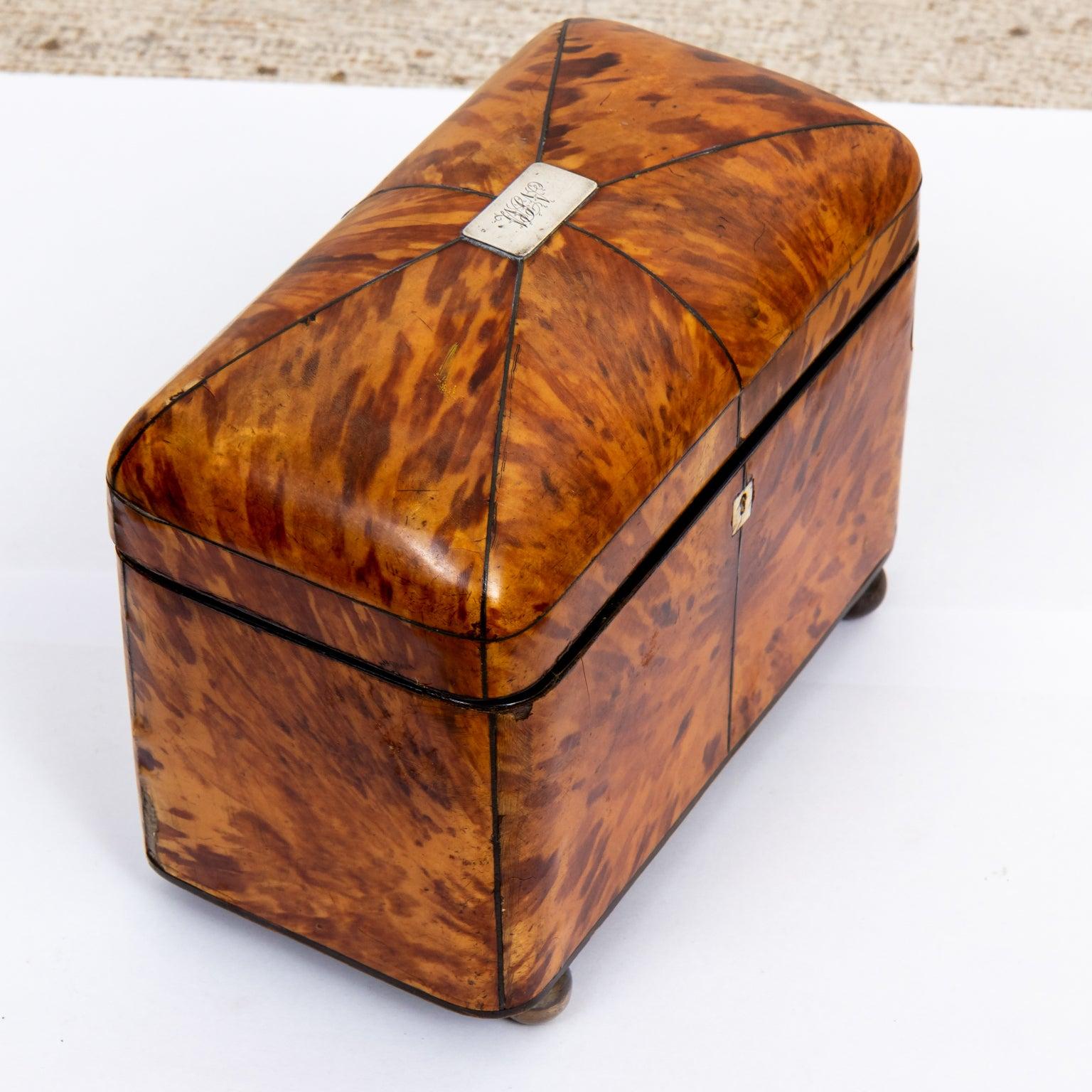 Tortoise Shell 19th Century English Tea Caddy with Brass Feet For Sale ...