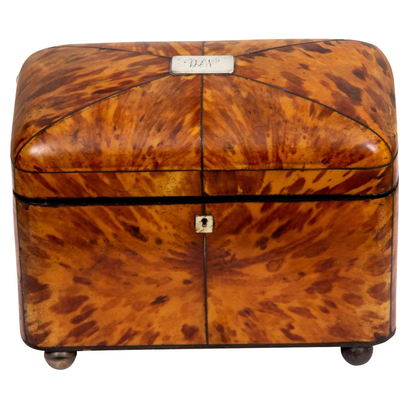 19th c. English Regency Tortoise Shell Box with Sterling Inlay at ...