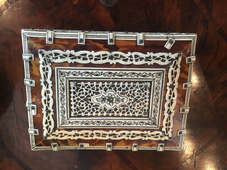 Tortoise Shell Decorative Box with Paw Feet. Tortoise Shell With Bun ...