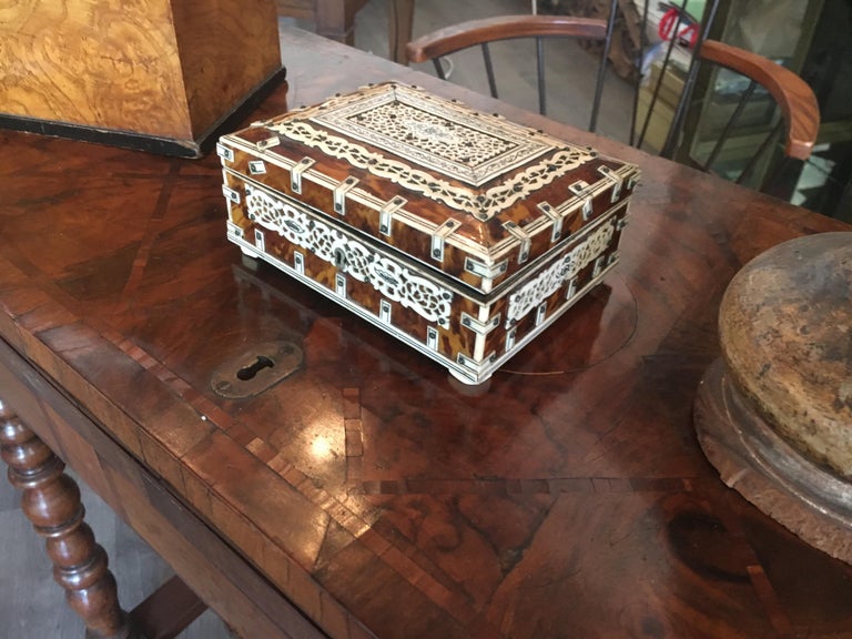 Tortoise Shell Decorative Box with Paw Feet. Tortoise Shell With Bun ...