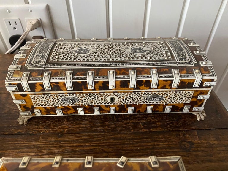 Tortoise Shell Decorative Box with Paw Feet. Tortoise Shell With Bun ...