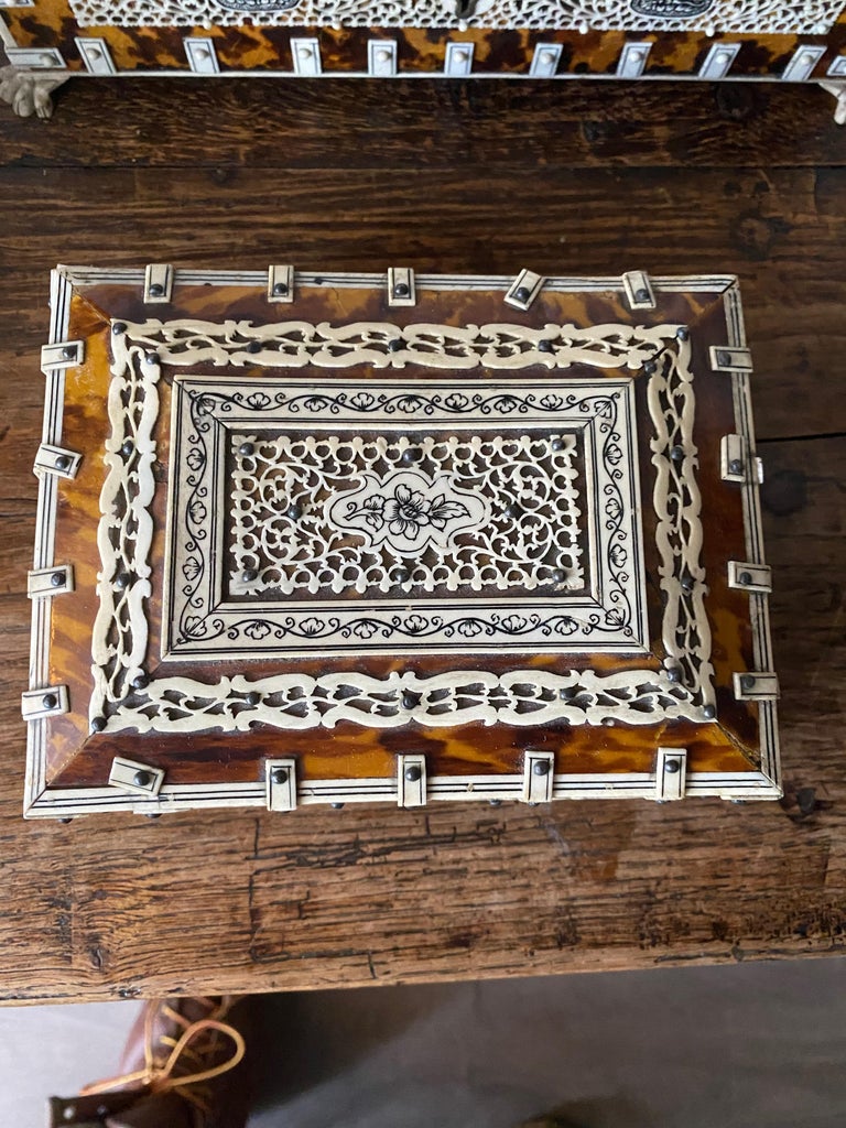 Tortoise Shell Decorative Box with Paw Feet. Tortoise Shell With Bun ...