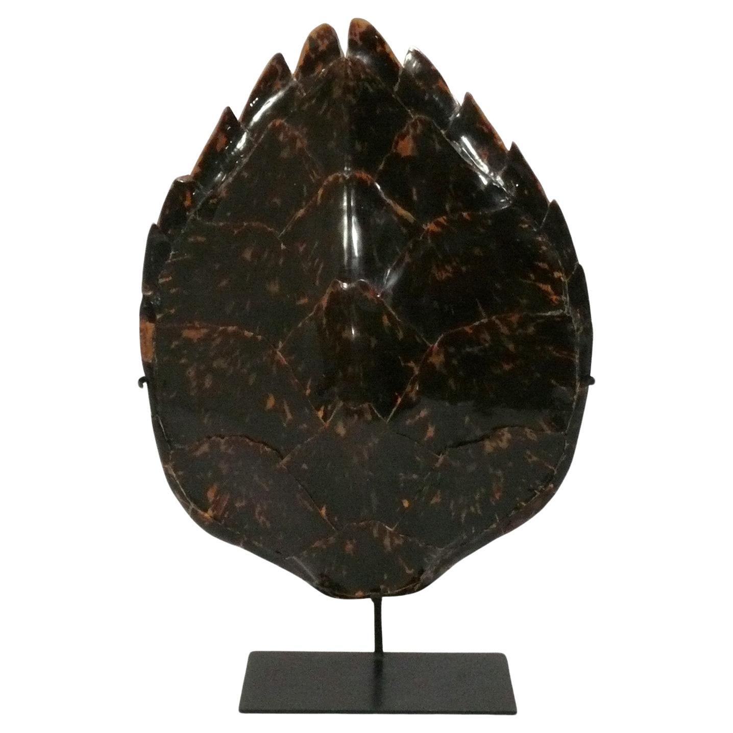 Tortoise Shell on Stand Regency Style Specimen Mount For Sale at 1stDibs