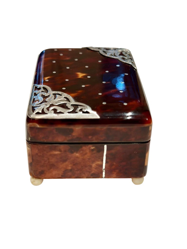 Tortoiseshell and Silver Box For Sale at 1stDibs