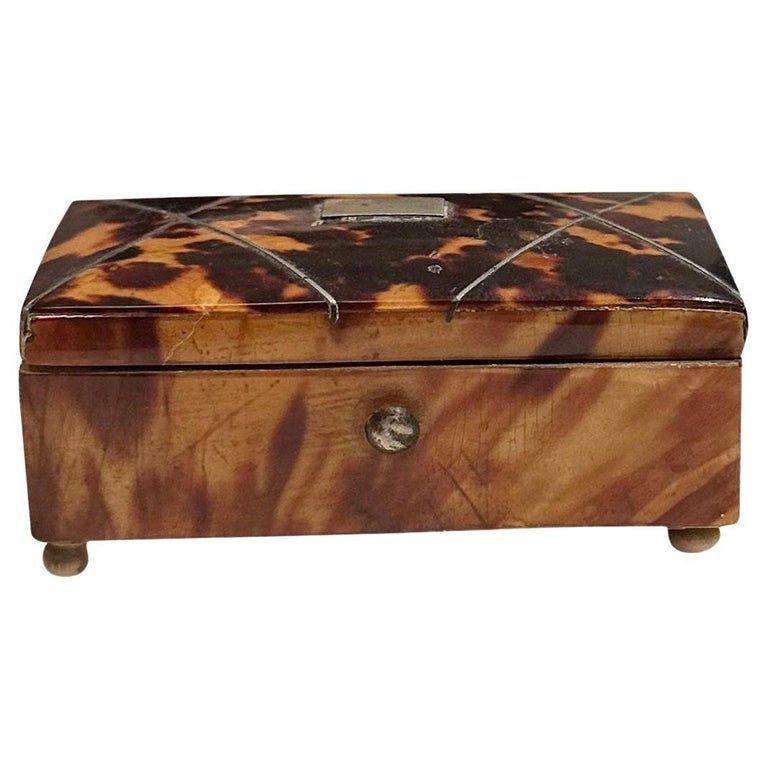 Tortoiseshell with Silver Box For Sale at 1stDibs