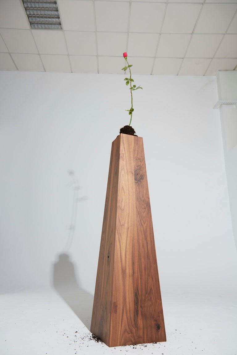 Tower Plinth in Natural Walnut by Project 213A For Sale at 1stDibs