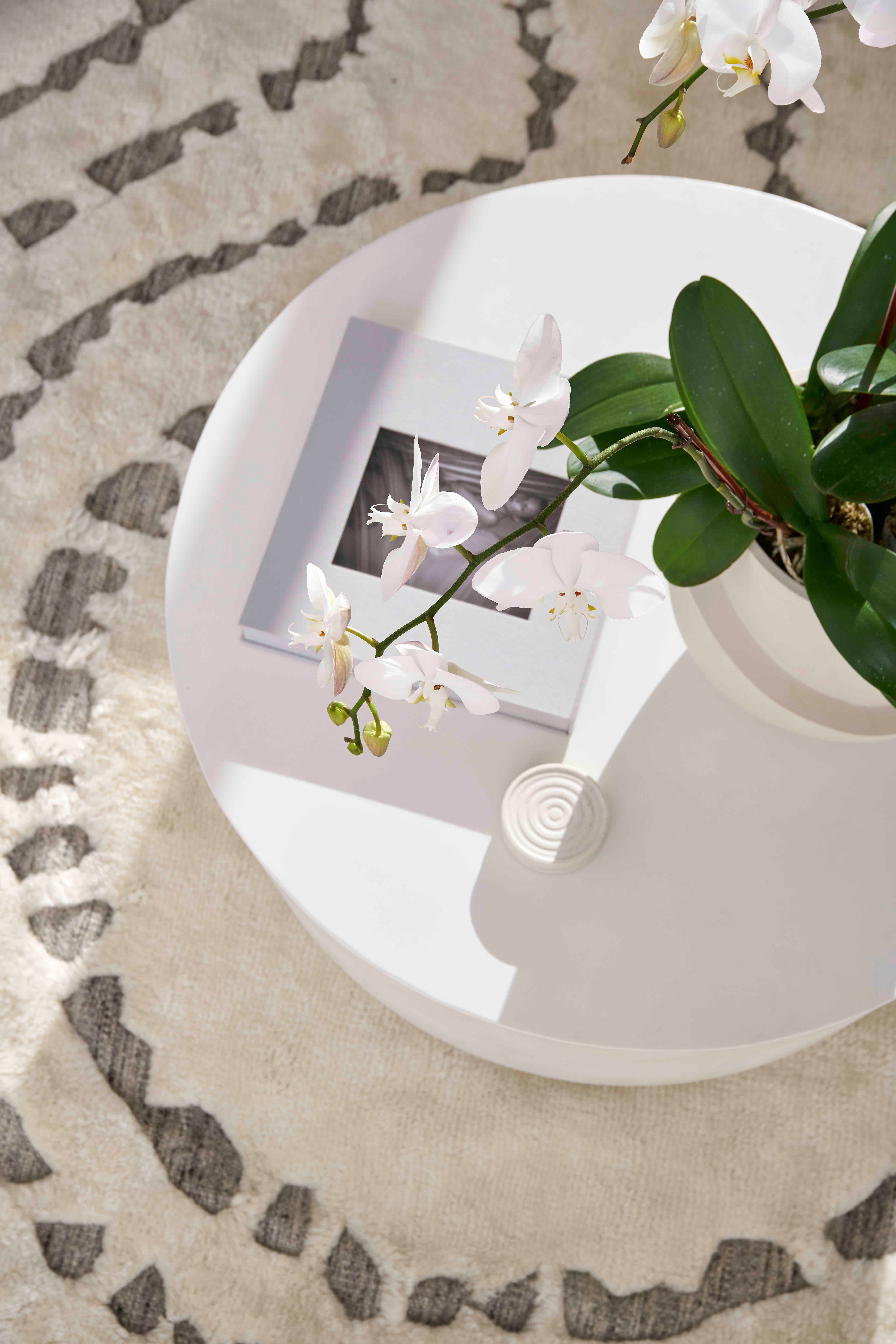 PALM BEACH by Timothy Godbold | 1stDibs