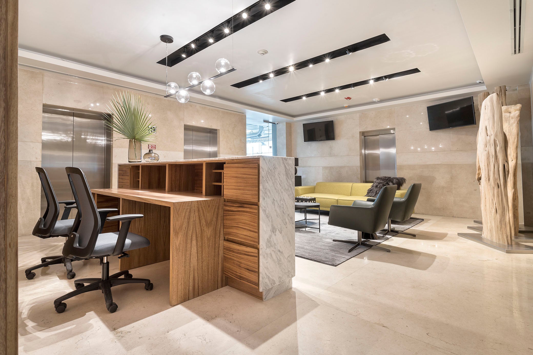 Lobby and Reception Design Ideas - 713 Pictures | 1stDibs