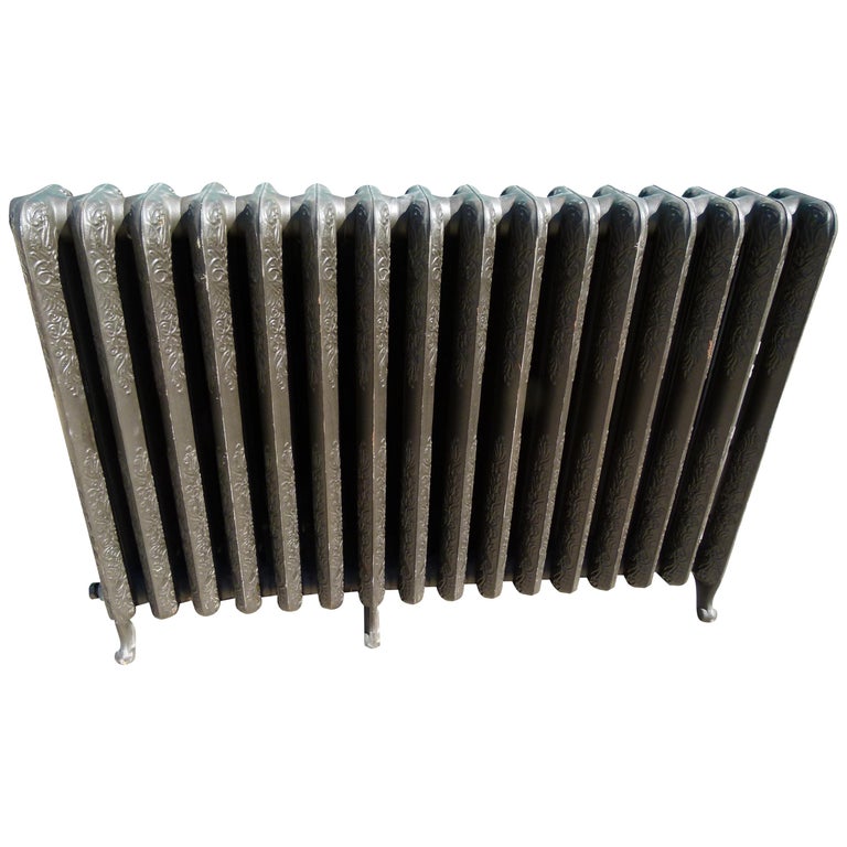 Traditional 2 Columns Art Nouveau Style Cast Iron Spanish Radiator at ...