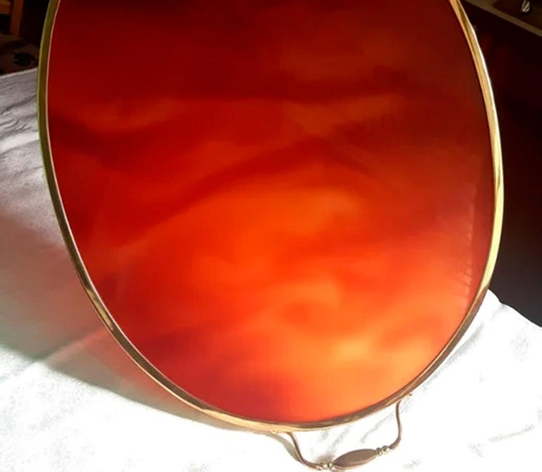 Tray Hollywood Regency Brass Handles and Methacrylate Turtle Shell ...